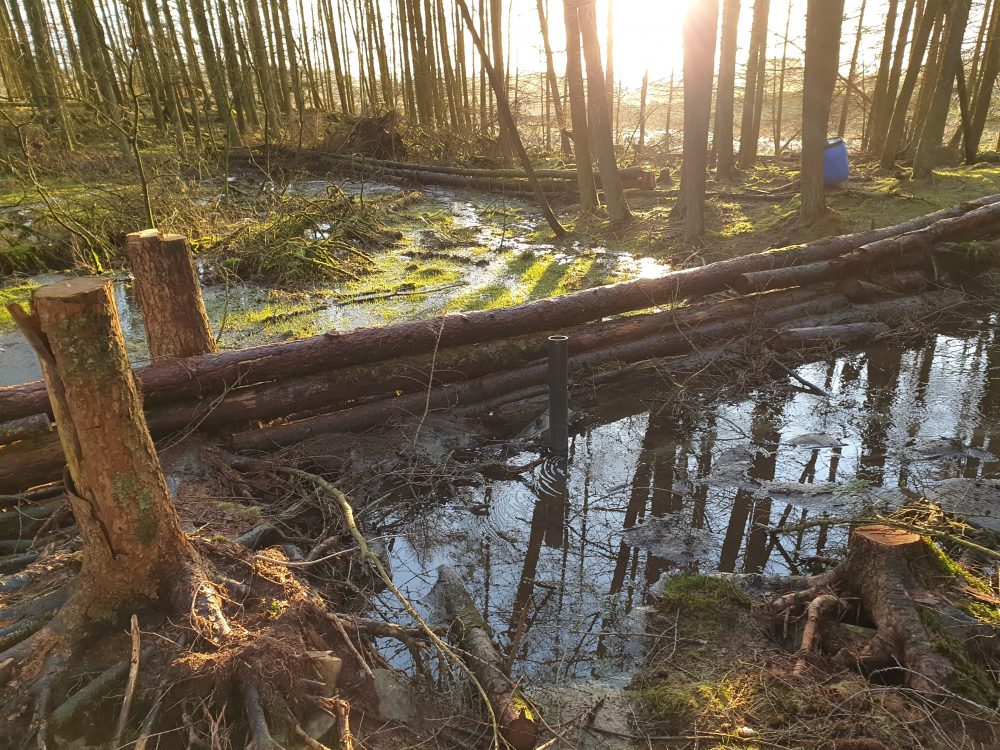 Leaky Dam Creation - SCRT