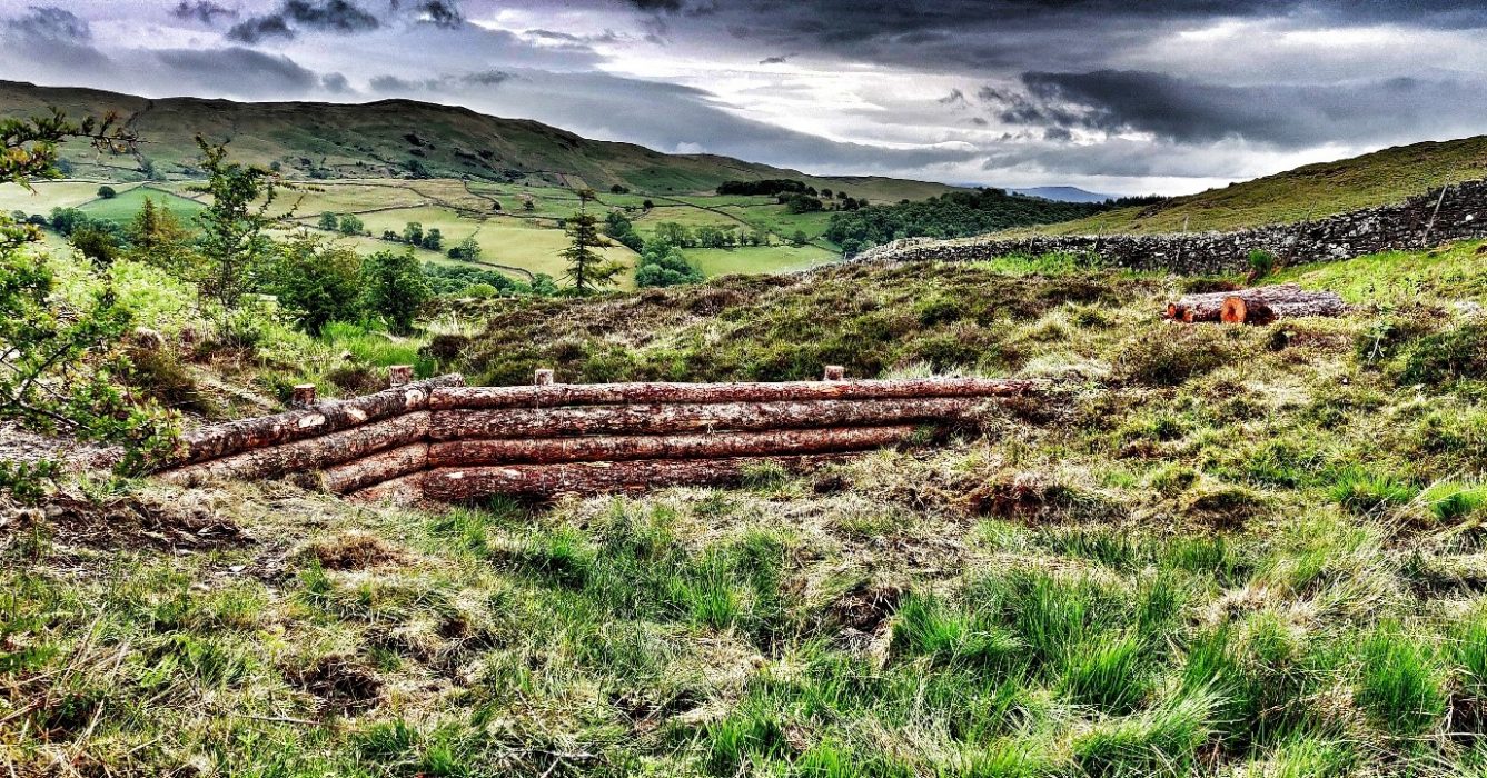 Kendal Town View Fields - NFM project - SCRT