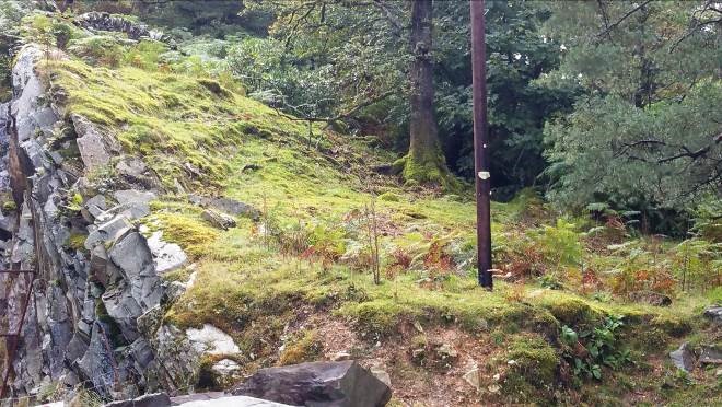 Elterwater quarry balsam (2) - SCRT