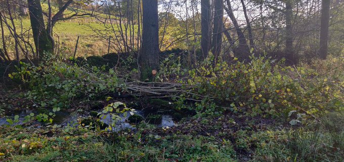 NFM-BELL-BECK - SCRT