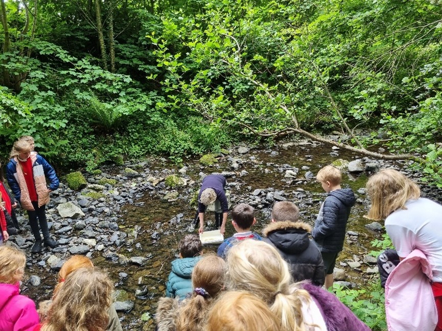 Eels in the Classroom - SCRT
