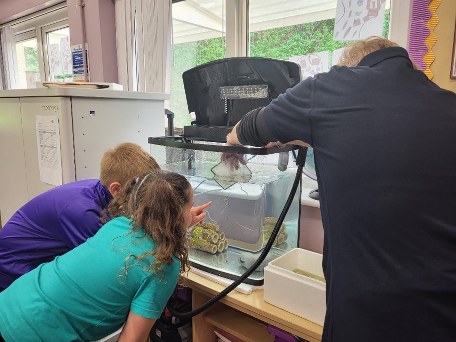 Eels in the Classroom - SCRT