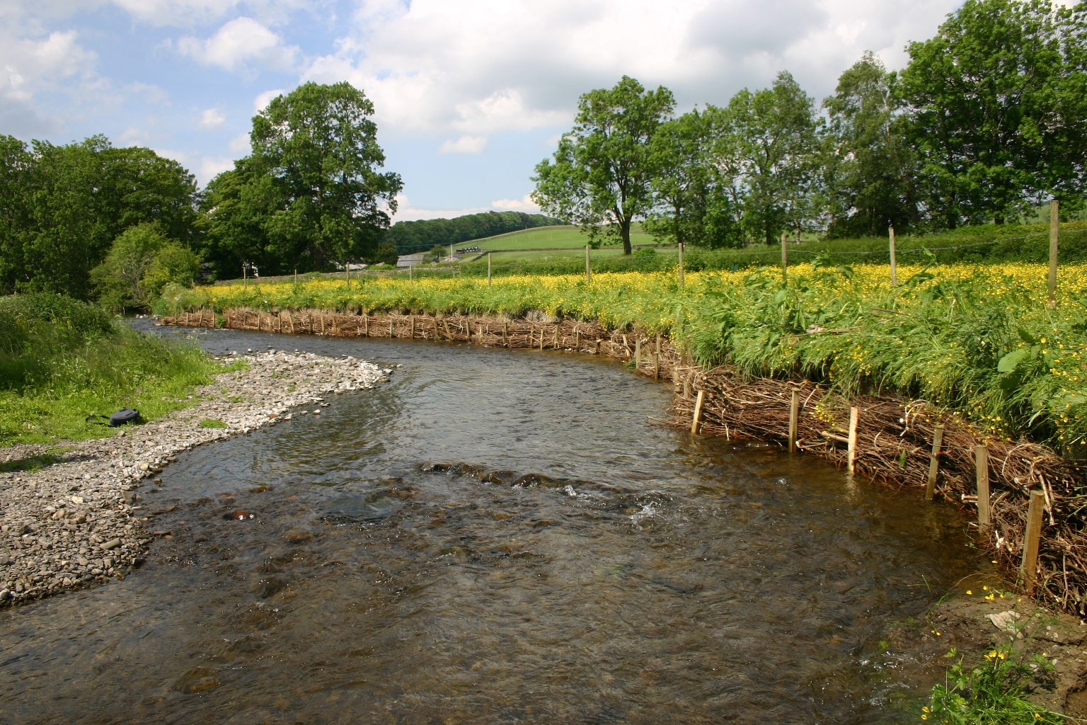 fascines-in-place - SCRT