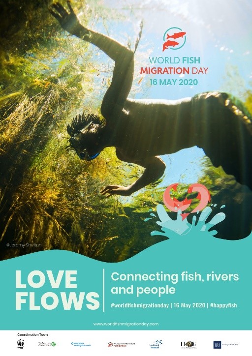 World Fish Migration Day 2020! - SCRT