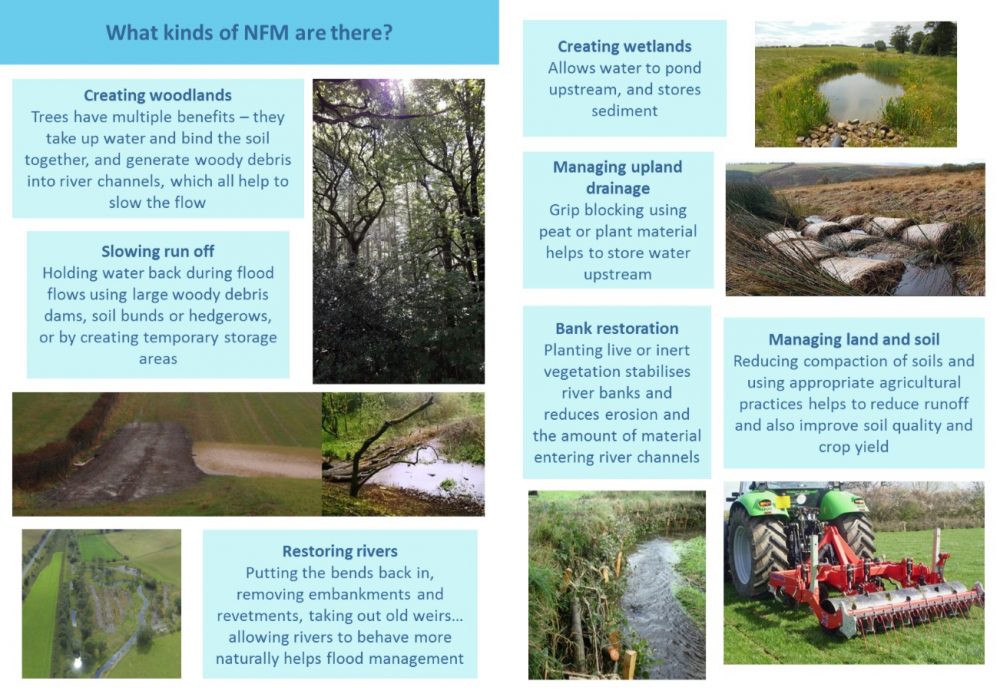Natural Flood Management - SCRT